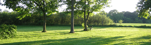 Grf-skovparken – Fyn Nyborg