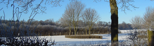 Grf-skovparken – Fyn Nyborg